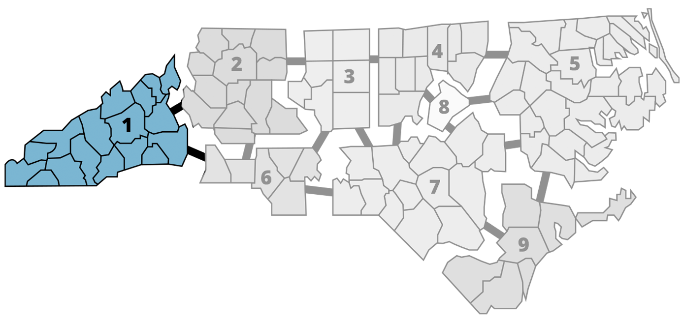 District 1 - RGEA